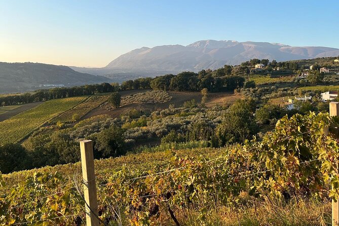 Winery Tour and Tasting in Abruzzo - Practical Details and Considerations