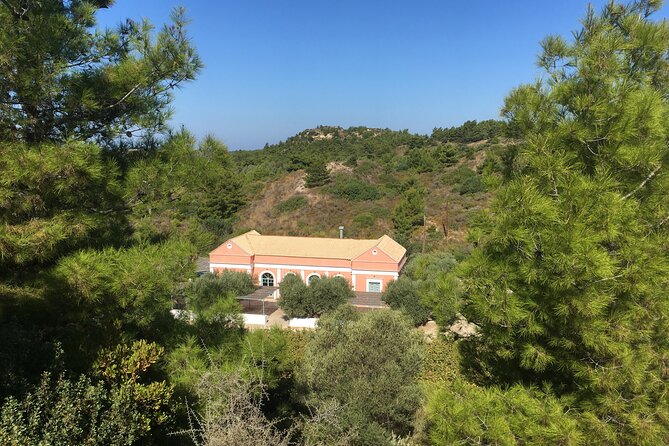 Winery Tour, Tasting and cooking with the Winemaker in Rhodes - A Final Word