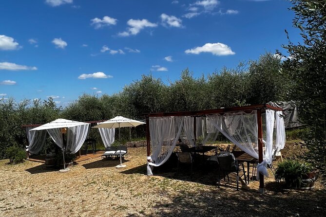 Winery Tour & Tasting in Pisa Countryside - Analyzing the Value
