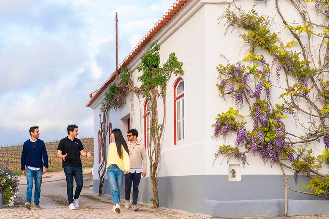Winery Visit & Setubal Fish Market Tour with Tasting from Lisbon - Who Would Love This Tour?