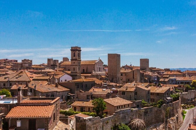 WWII Anzio and Surroundings Veteran Private Tour - A Step-by-Step Look at the Itinerary
