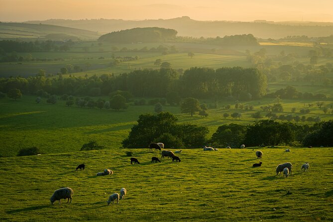 Yorkshire Dales Tour App, Hidden Gems Game and Big Britain Quiz (7 Day Pass) UK - Authentic Traveler Perspectives