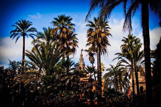 Your First day in Sevilla. - Who Would Love This Tour?