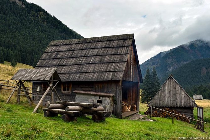 Zakopane & Thermal Springs: Private Tour - Relaxation at Chocholowskie Termy — Ending on a High Note