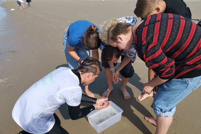 Zeeland Beach safari with Fishnet NL/DE - Why This Tour Resonates with Travelers