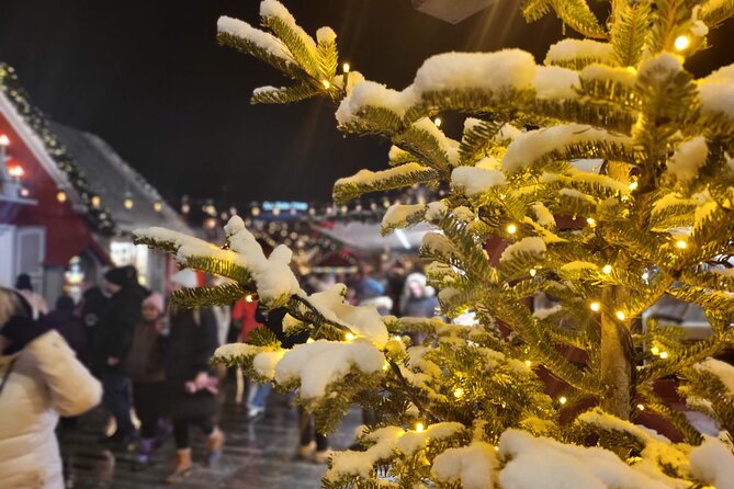 Zurich Christmas Market Tour - FAQ