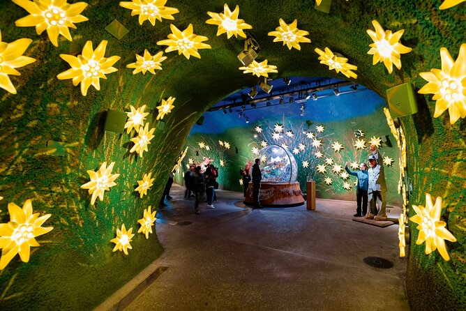 Zurich: Small group tour to Jungfrau, Grindelwald & Interlaken - The Charm of Grindelwald and Interlaken