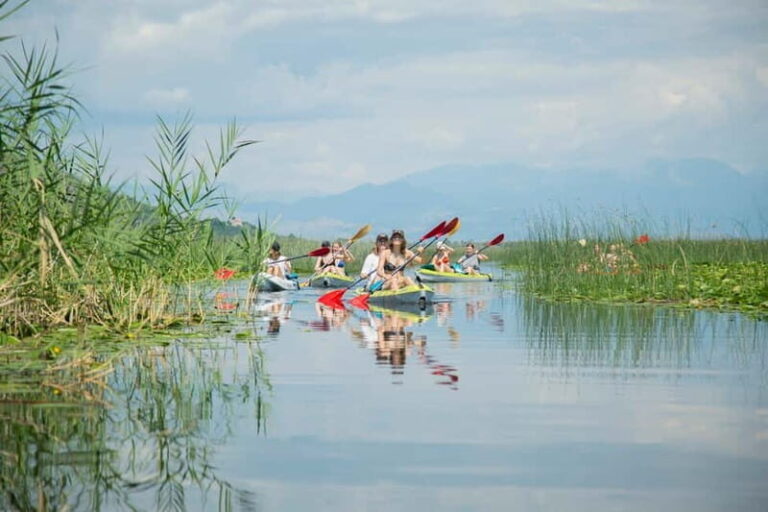 3h Guided Kayaking Adventure on Skadar Lake to hidden spots! - What’s Included and What’s Not