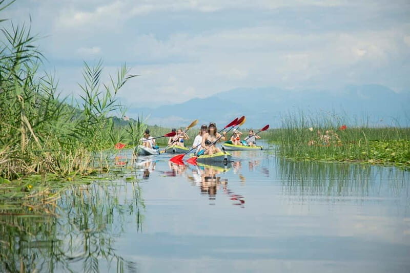 3h Guided Kayaking Adventure on Skadar Lake to hidden spots! - What’s Included and What’s Not
