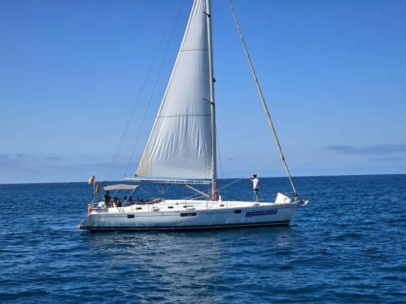 3h Whale Watching Share Tour Beneteau Oceanis 440 - The Comfort and Amenities of the Vessel