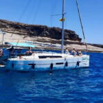 3h Whale watching Share Tour Costa Adeje Lina7 Mizendoha - Who Will Love This Tour?