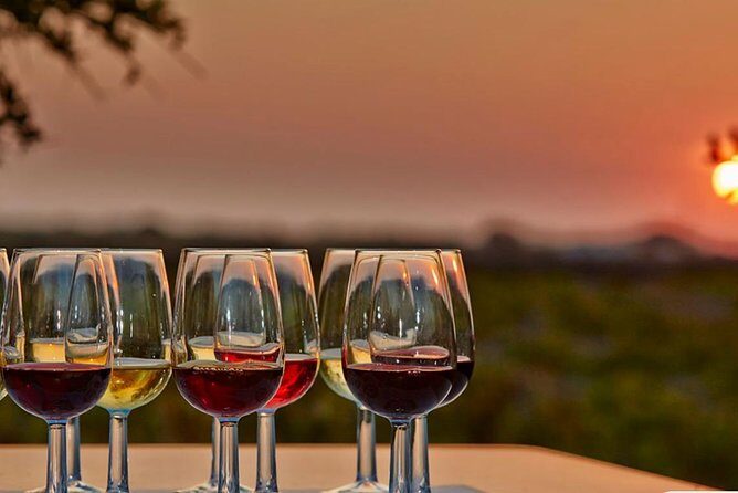 4.5 Hours Through the Grapevine Semi Private Wine Tour - The Sum Up: Who Will Love This Tour?