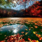 4-Day Abant, Seven Lakes, Safranbolu & Amasra Tour from Istanbul - Who Will Love This Tour?