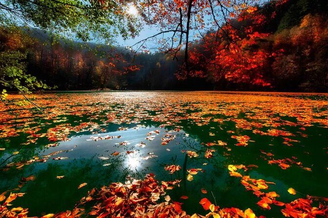 4-Day Abant, Seven Lakes, Safranbolu & Amasra Tour from Istanbul - Who Will Love This Tour?