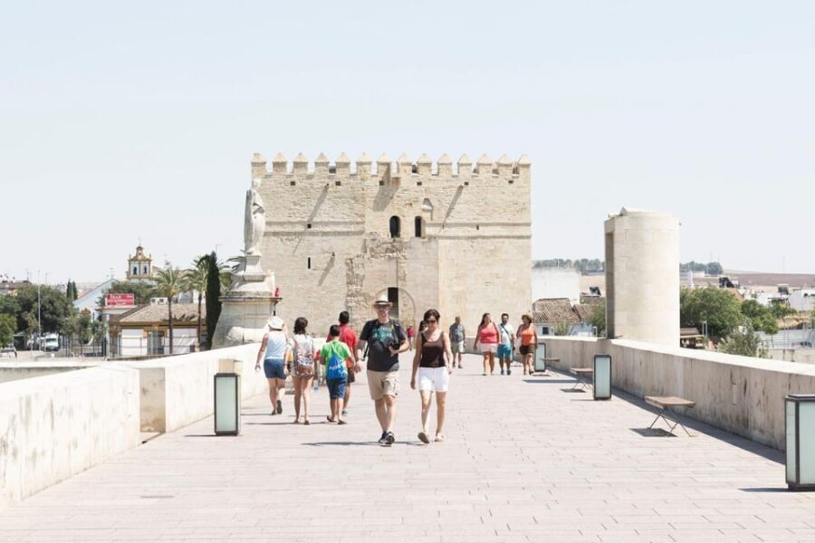 4-Day Tour Andalusia: Cordoba & Seville from Madrid - Transportation & Group Experience