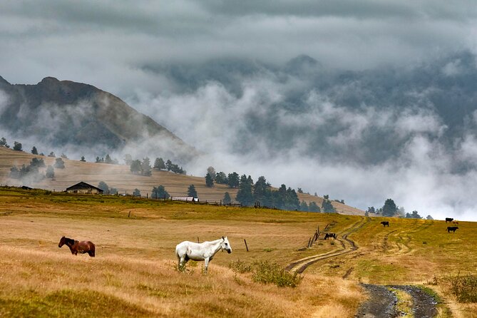 4 Days 3 Nights Tour to Tusheti with Hiikes - Key Points