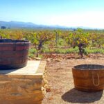 4-days wine trip to Valencia & Requena! 16/9 - 20/9 - 2025 - Who Will Love This Tour?