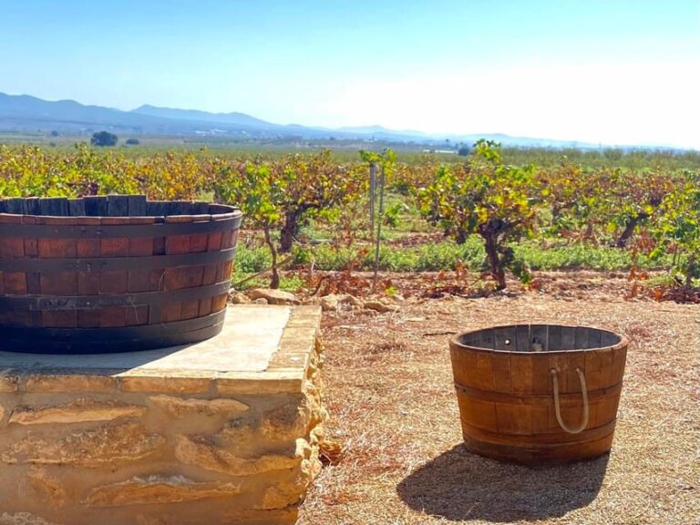 4-days wine trip to Valencia & Requena! 16/9 - 20/9 - 2025 - Who Will Love This Tour?