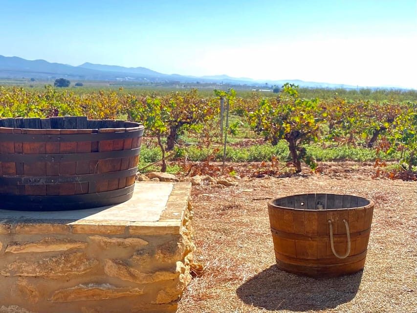 4-days wine trip to Valencia & Requena! 16/9 - 20/9 - 2025 - Who Will Love This Tour?