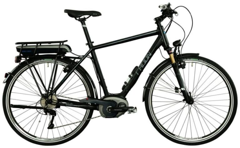 4-Hour E-Bike Tour to Puerto de Leon (roundtrip) - A Deep Dive into the Itinerary and Experience