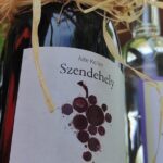 4-Hour Open Air Gulash Cooking with nature in Hungary - The Cooking Experience