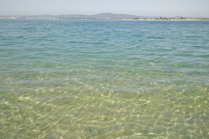 4-Hour Private Boat Tour in Ria Formosa - An In-Depth Look at the Ria Formosa Private Boat Tour