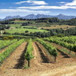 4-Hour Supercar Route to a Catalan Winery from Barcelona - The Drive: A Scenic Adventure from Barcelona