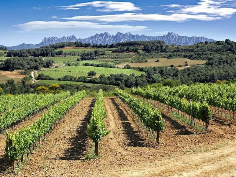 4-Hour Supercar Route to a Catalan Winery from Barcelona - The Drive: A Scenic Adventure from Barcelona