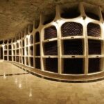 4 Hours Cricova Winery Tour with Tasting - Authentic Reviews and Insights