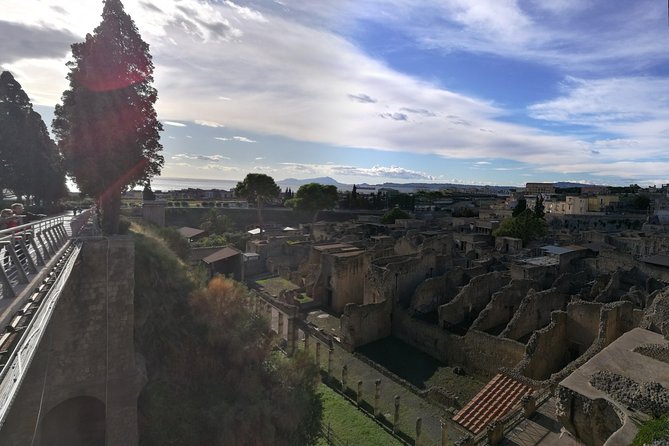 4/hours Half Day Trip Excursion to Herculaneum - Guide included - Key Points