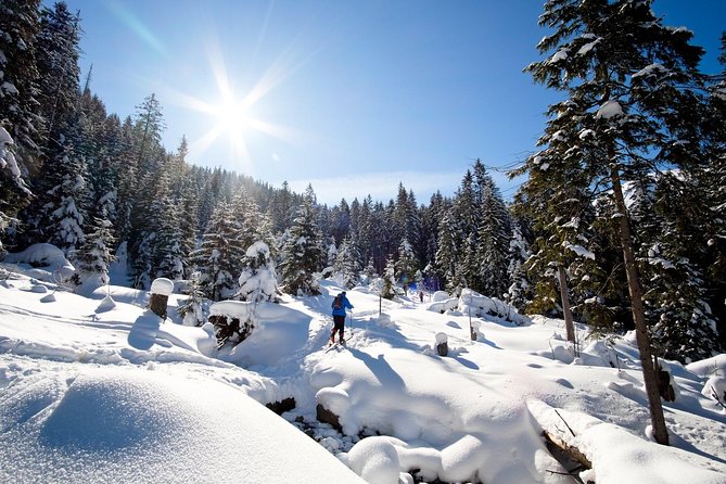 4 hours skitour trip in Tatra Mountains for beginners with renting equipment - What Makes This Tour Stand Out