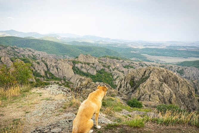 1 day hiking in Birtvisi Canyon from Tbilisi - Descending and Post-Hike Relaxation
