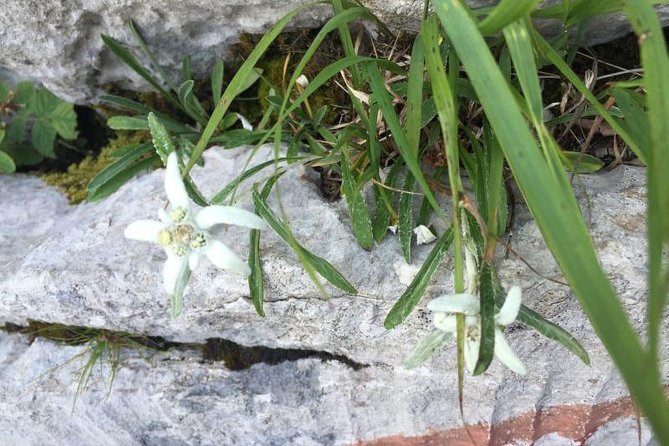 1 day White Rocks Wilderness - Vihoraski trail Hike from Zagreb - FAQ