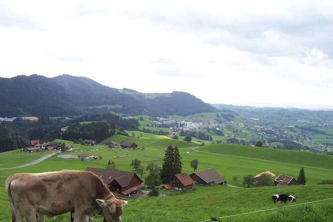 11-Day Private Lite Tour Across Switzerland by Bike from Geneve - Solothurn to Zofingen: A Quiet Day with a Castle