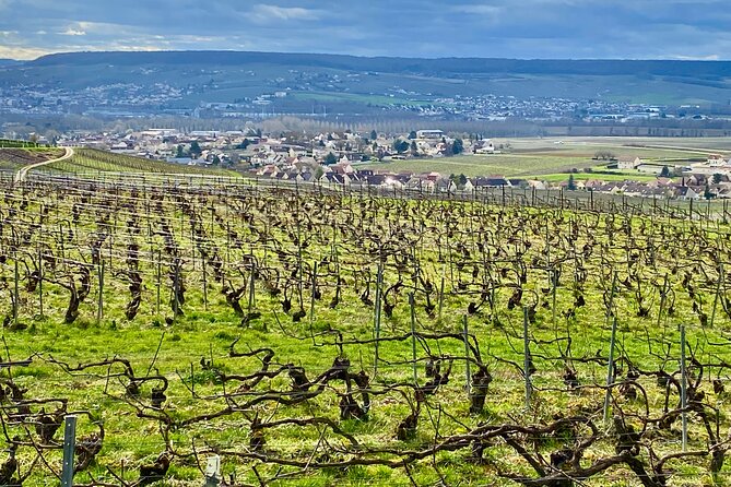 2-day Burgundy 4 Domains, Champagne Moet, Veuve Clicquot Private - Final Thoughts: Is This Tour Right for You?