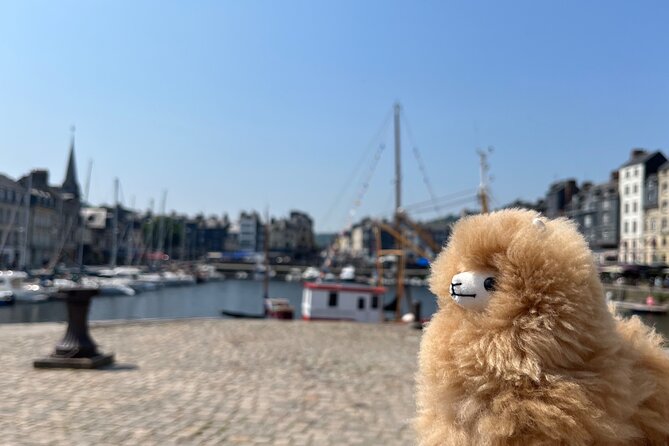 2-Days Customisable Private Guided Tour in Normandy & Brittany - Who Would Enjoy This Tour?