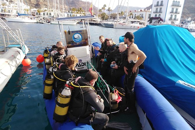 2 Dive Package for PADI Qualified Divers in Gran Canaria - In The Sum Up