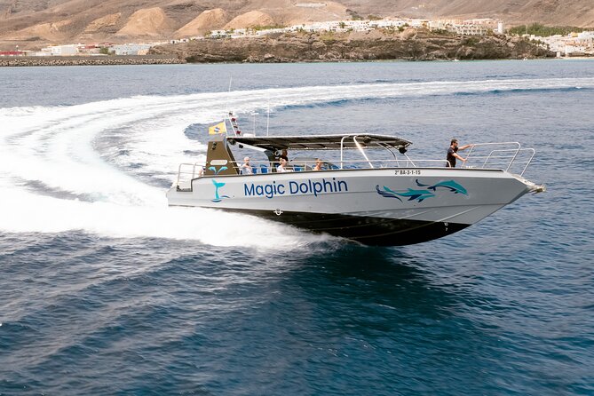 2-Hour Dolphin Watching Experience in Fuerteventura - Who Would Love This Tour?