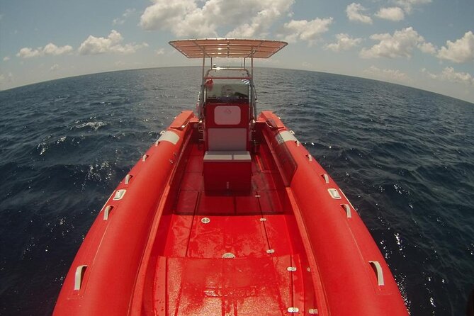 2-Hour Mykonos Private Sea Safari and Snorkeling on a Powerboat - Practical Details to Keep in Mind