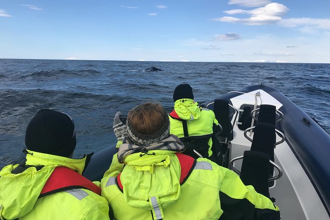 2-Hour RIB Boat Whale Watching Tour from Reykjavik - Practical Tips for Your Tour