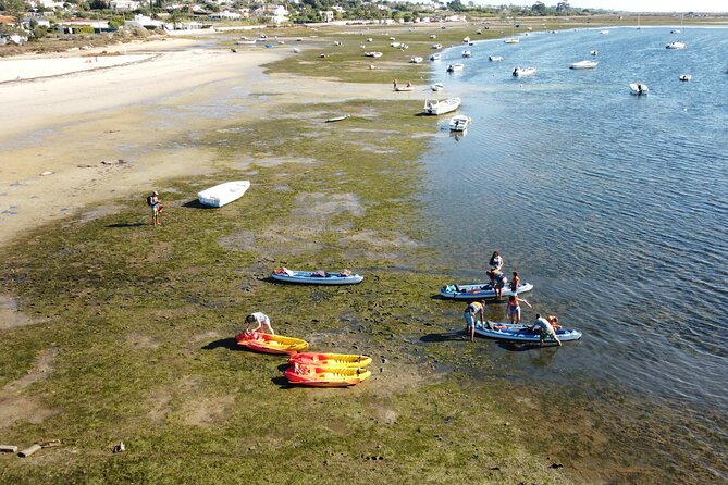 2 Hours Kayak Island Tour in the Natural Park of Ria Formosa - Price and Value