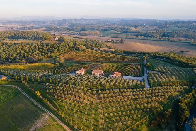 2 Hours Visit and Wine Tasting with tastings in Val D'Orcia - Final Thoughts: Is This Tour Worth It?