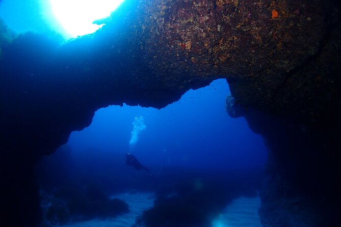 2 Scuba Fun Dives for Certified divers in St Paul's Bay - What Past Participants Say