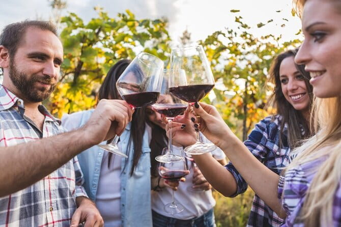 2 wineries Chianti Wine Tasting & Vineyards Walk Private Tour - Final Reflection: Is It Worth It?
