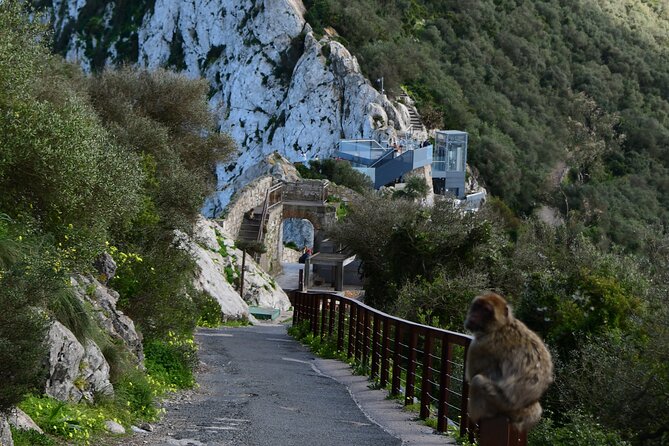 3.30Hrs Private Victory Diamond Rock Tour in Gibraltar - Skywalk: A Glass-Paneled Experience