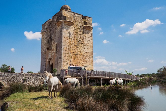 3.5 Hour Camargue 4x4 Safari from Le Grau-du Roi - The Sum Up: Who Will Love This Tour?