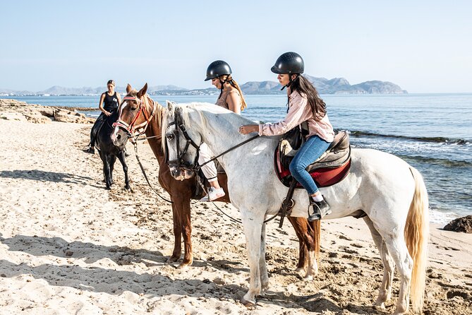 3-Hour Beach Horse Riding to Discover the Beauty of Alcudia Bay - The Sum Up: Who Is This Tour Best For?