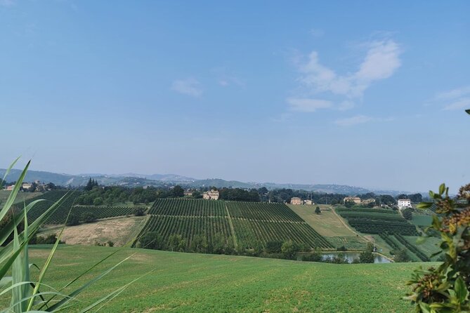 3 Hour E-bike Tour with Parmesan and Balsamic Vinegar - Final Thoughts