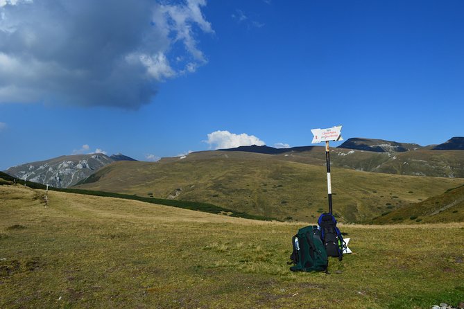 4-Day Carpathian Trek: Bucegi Mountains and Piatra Craiului National Park - Value and Price
