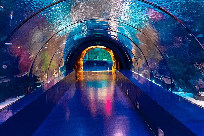 4-Hour Guided Antalya Aquarium Tour - Transportation and Practical Details
